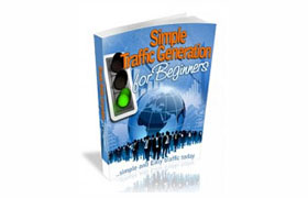 Simple Traffic Generation For Beginner’s – PLR Database